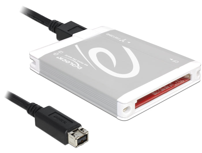 Delock 91694 | FireWire B to Compact Flash Card Reader – Synchrotech, Inc.